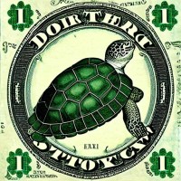 Dollar Turtle – Patiently Navigating Today's Economic Currents